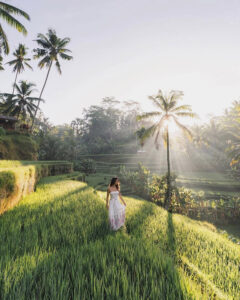 Tips Hunting Foto di Sawah oleh Model dan Cewek IGO Cantik - Dzargon