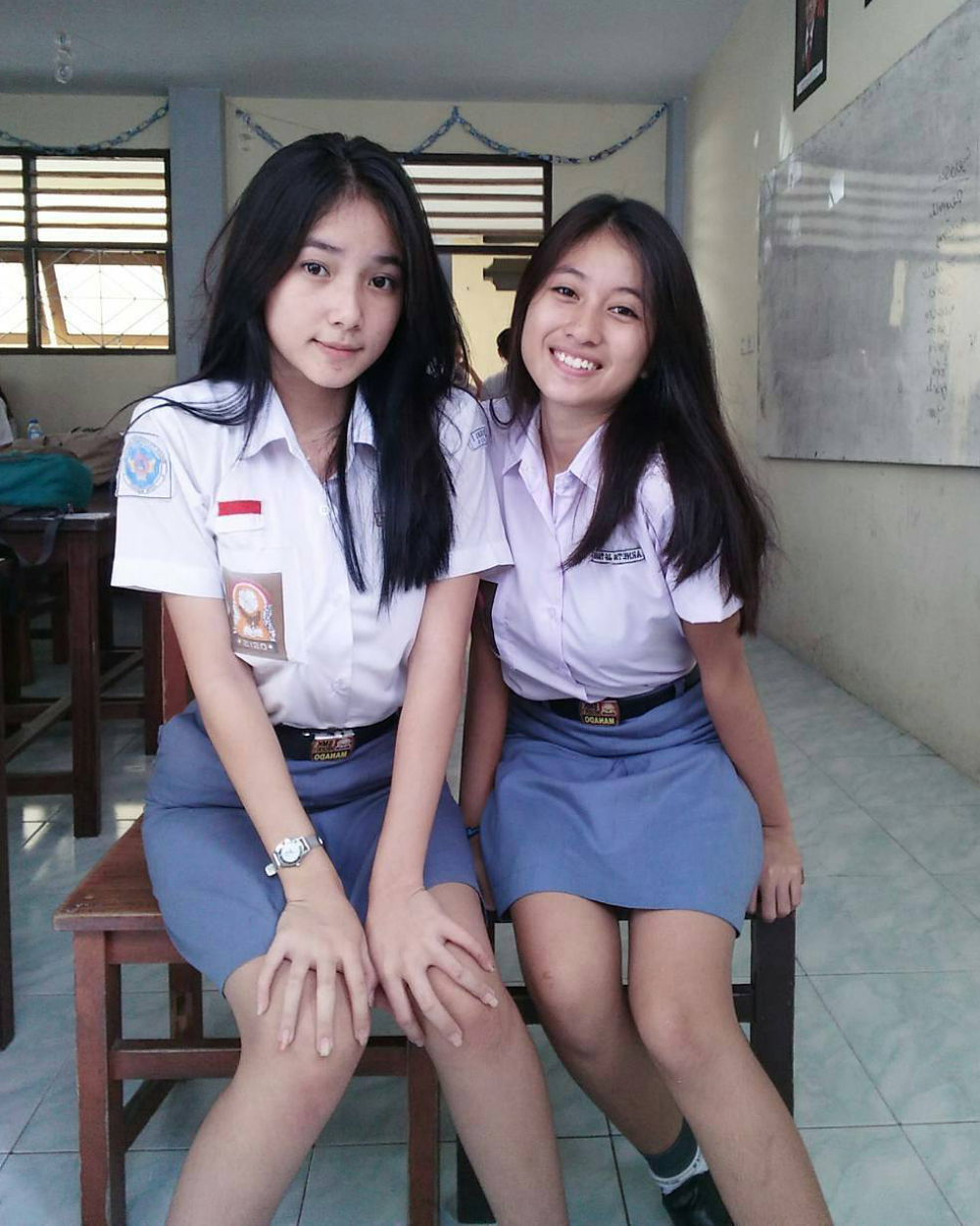 Beda Kucing dan Burung Menurut Tini - Dzargon